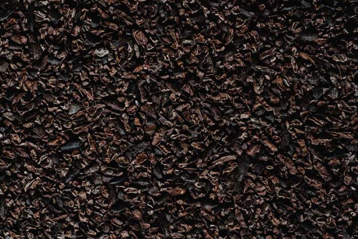 Skin Benefits of Dark Chocolate: Why Cacao is Good For Your Skin